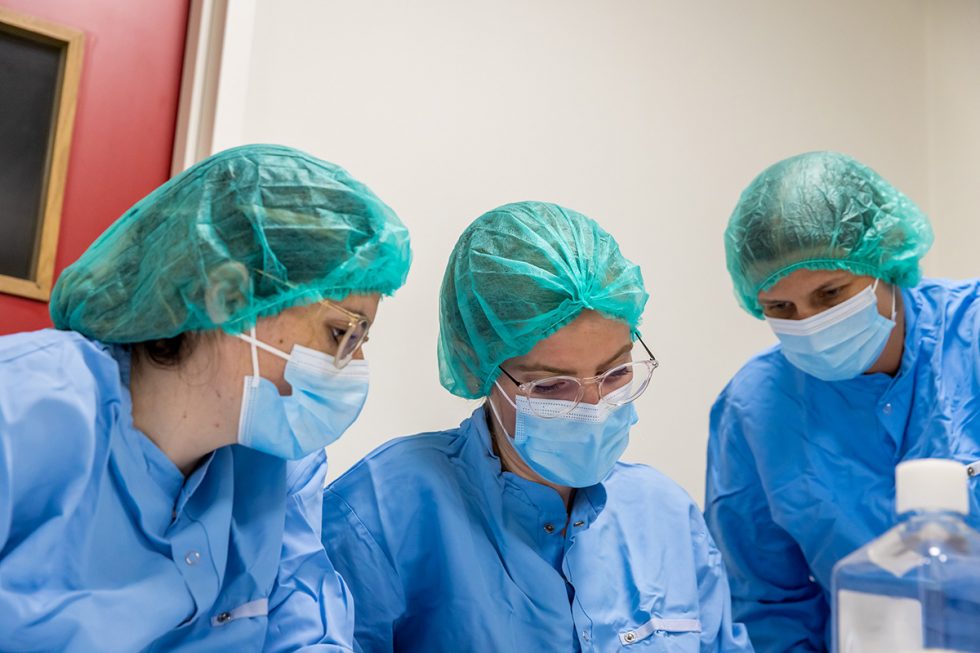 Preclinical Development Services - IND Enabling services Europe