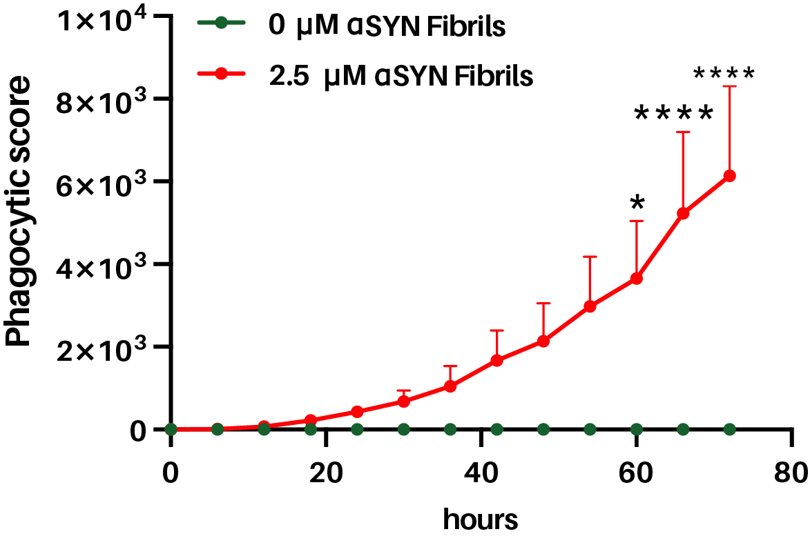 In vitro Neurodegenerative Models to Screen Compounds' Efficacy - InnoSer