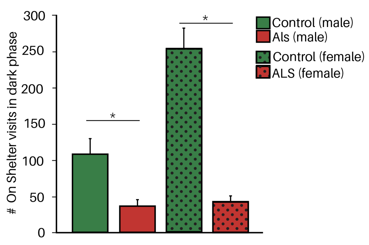 ALS models for preclinical research - InnoSer