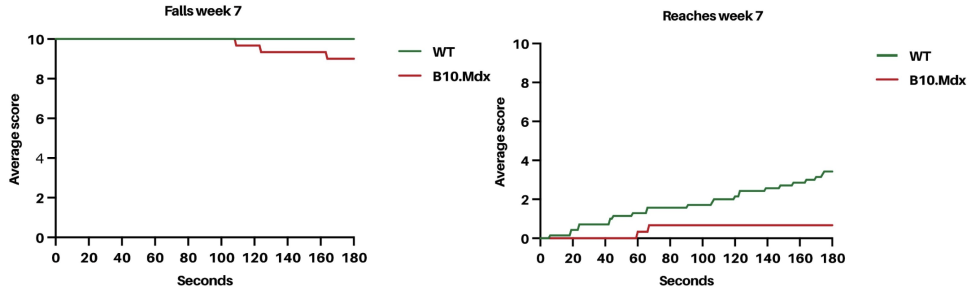 MDX Mouse Model Validation Data - InnoSer - Neurology CRO