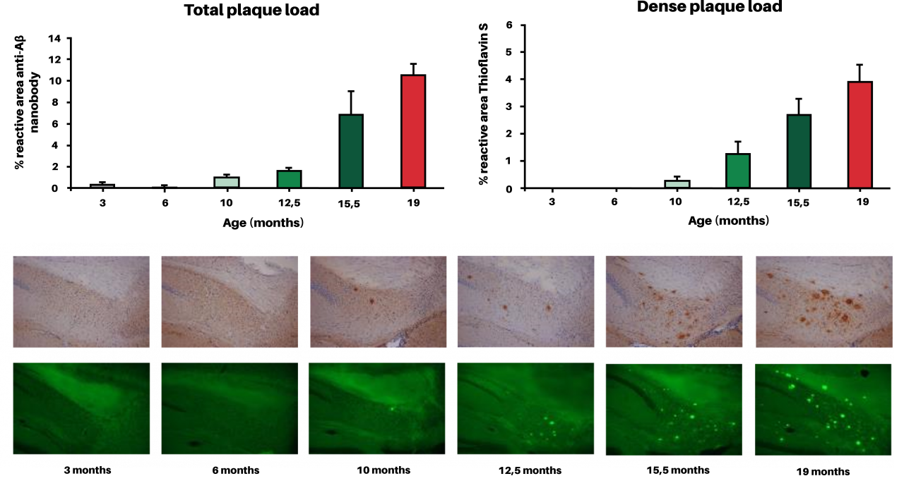 APP-London model - InnoSer