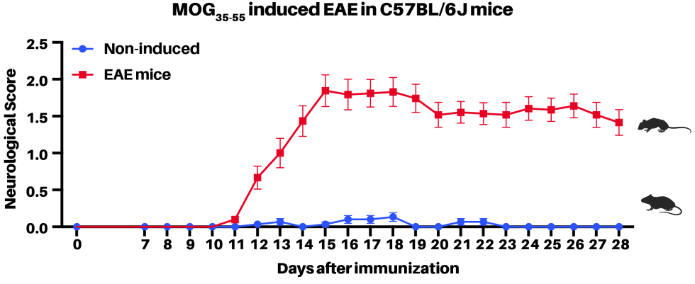 EAE Mouse Model - Immunology CRO - InnoSer