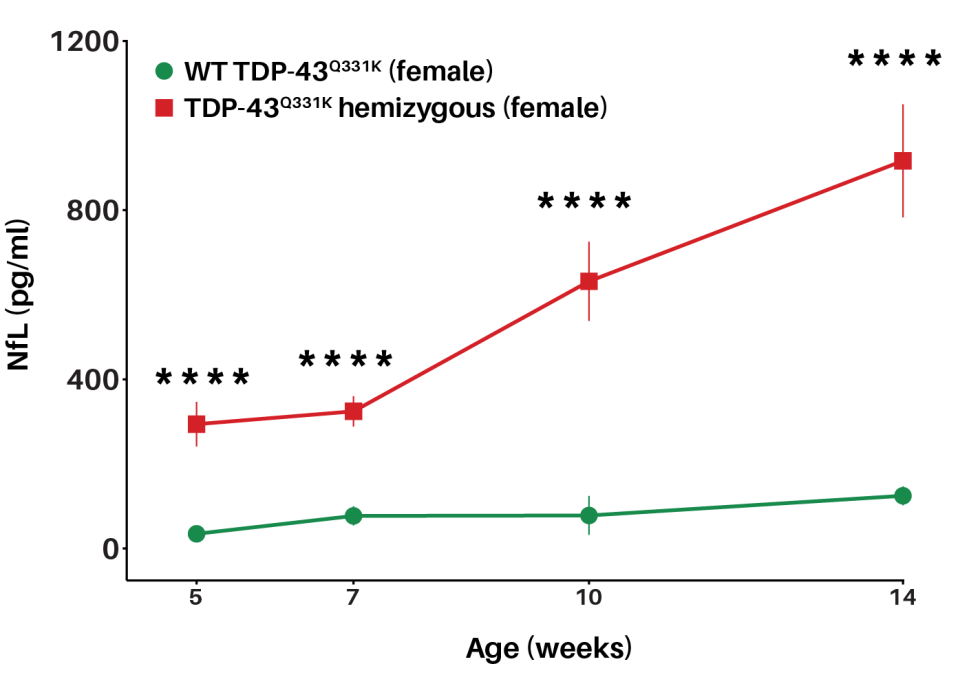 Grip Strength Test - Rodent Behavioral Testing - Neurology CRO - InnoSer